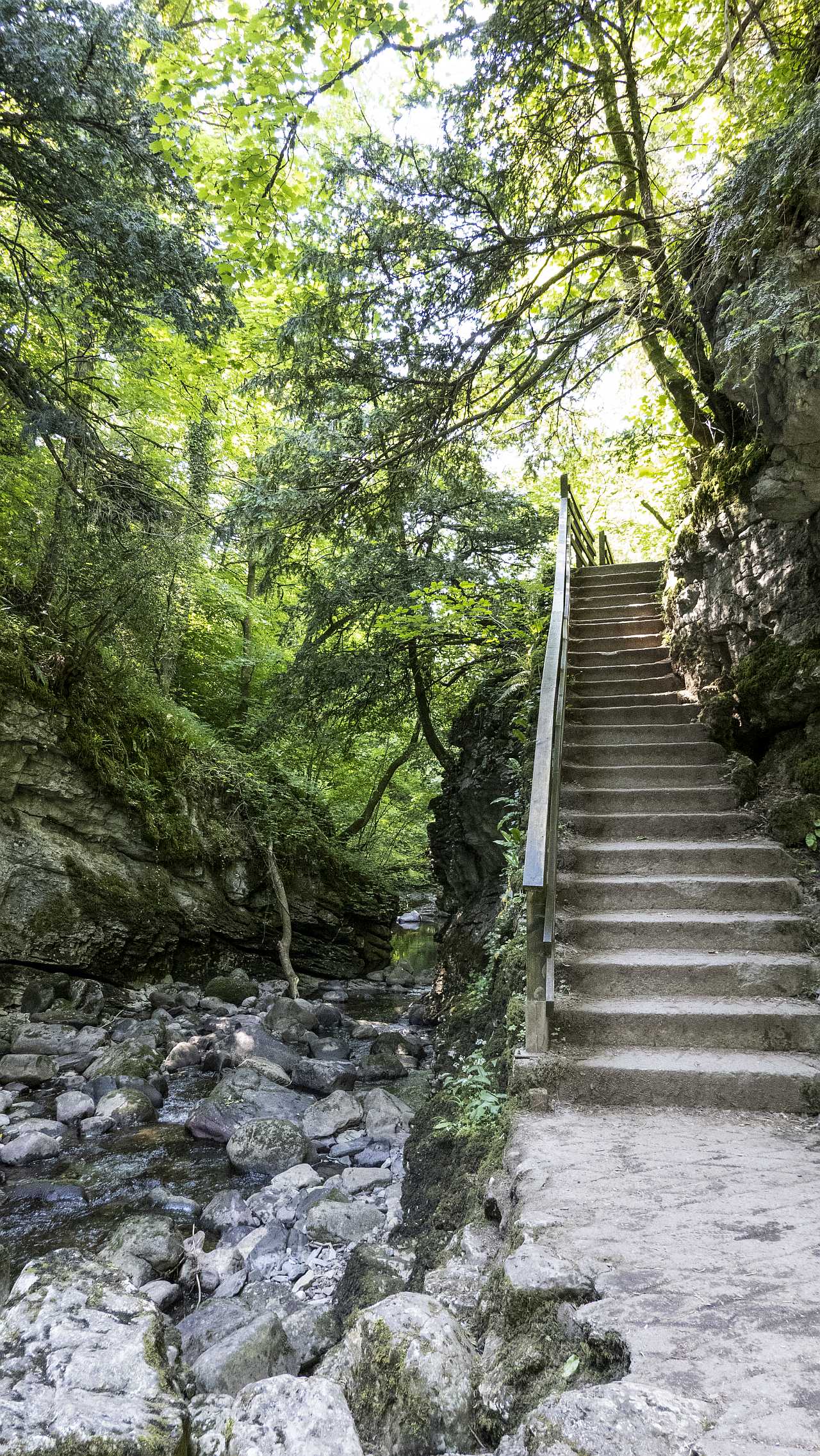 Ingleton Waterfalls Trail – An Amazing Experience – GottaPics