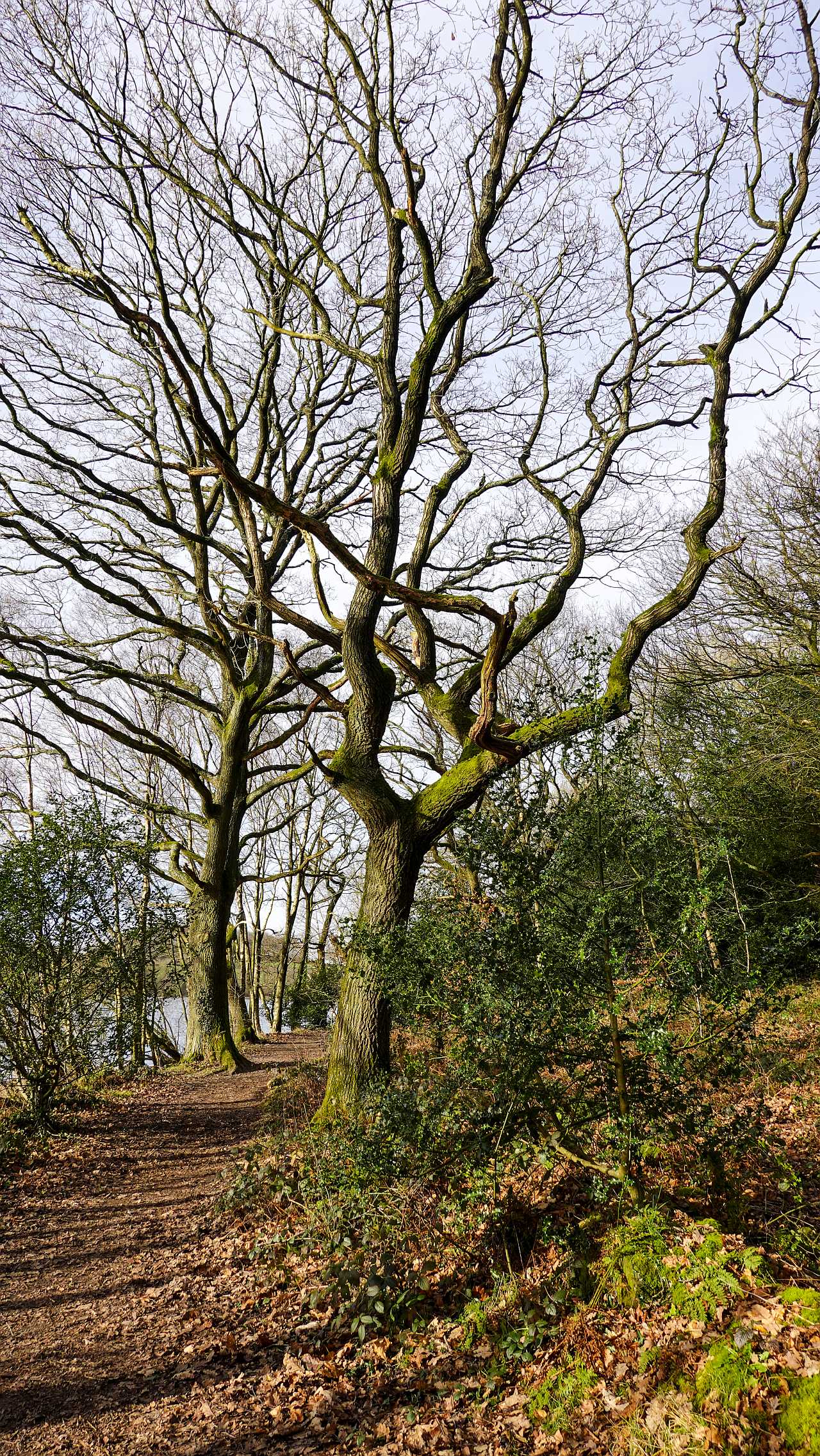 Visit Liverpool Castle (Replica in Rivington) – GottaPics
